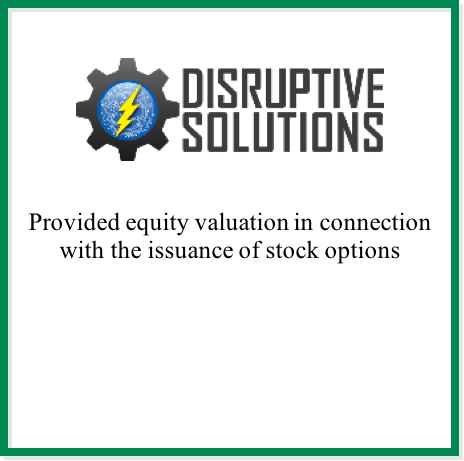 disruptive solutions - Seabrook Partners LLC
